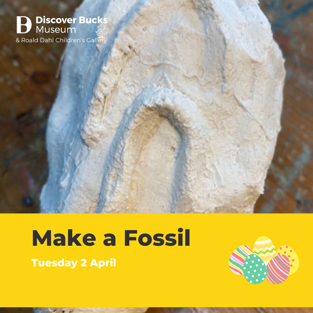 Make A Fossil! at Discover Bucks Museum | Visit Aylesbury